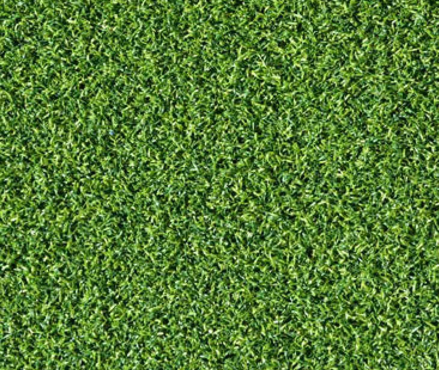 PE Putt — Park Landscaping Supplies